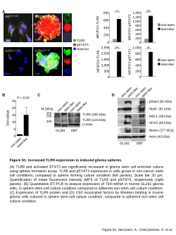 Data Supplement from TLR9 Is Critical for Glioma Stem Cell Maintenance and Targeting