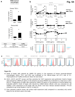 Figure S4 from Arming Tumor-Associated Macrophages to Reverse ...