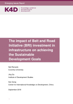 Item - The Impact of Belt and Road Initiative (BRI) Investment in ...