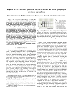 Beyond mAP: Towards practical object detection for weed spraying in precision agriculture