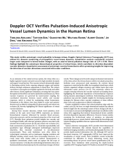Doppler OCT Verifies Pulsation-Induced Anisotropic Vessel Lumen ...