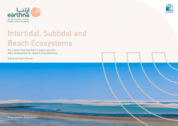Item - Intertidal, Subtidal and Beach Ecosystems - Figshare
