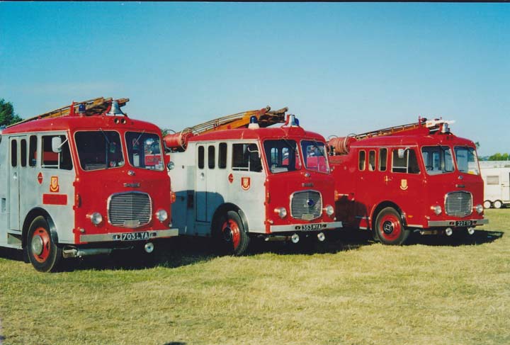 Fire Engines Photos - Line up at Somerset rally Dennis F28