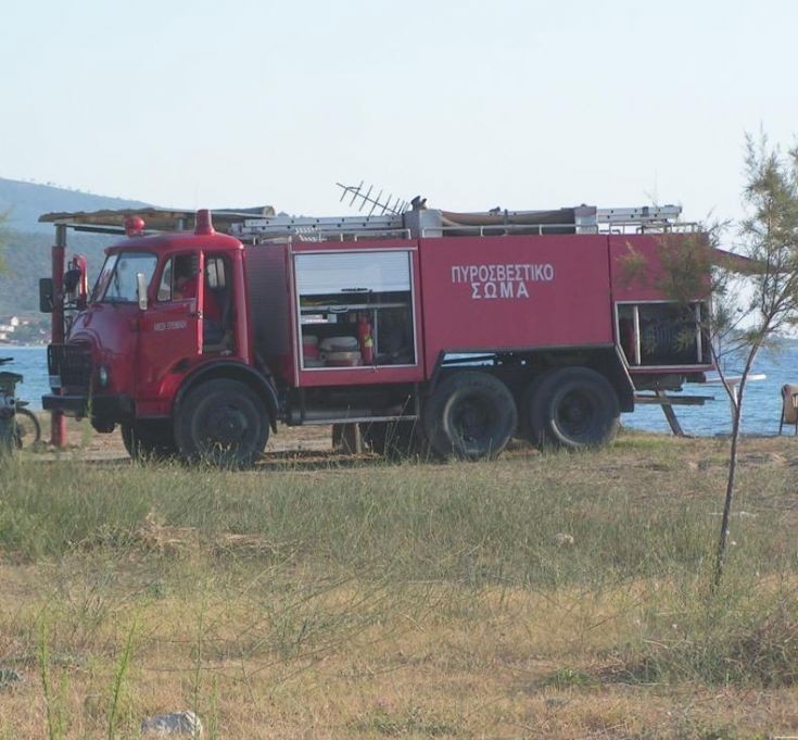 Fire Engines Photos - Greek Forest Fire Engine Steyr 680M3