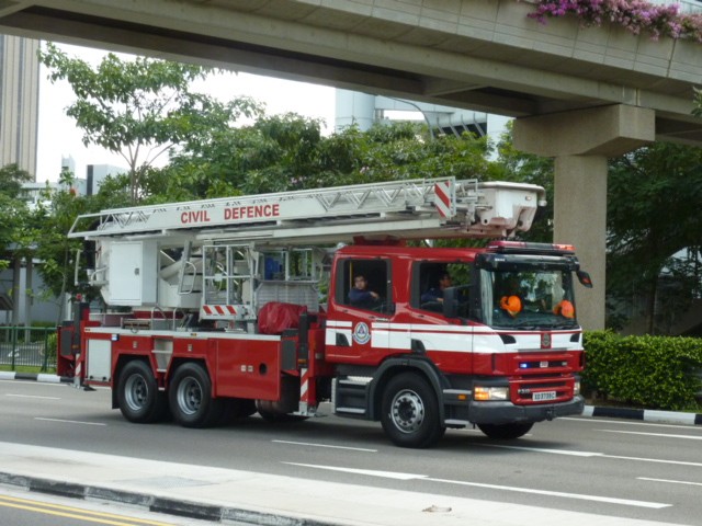 SCDF COMBINE PLAFORM LADDER
