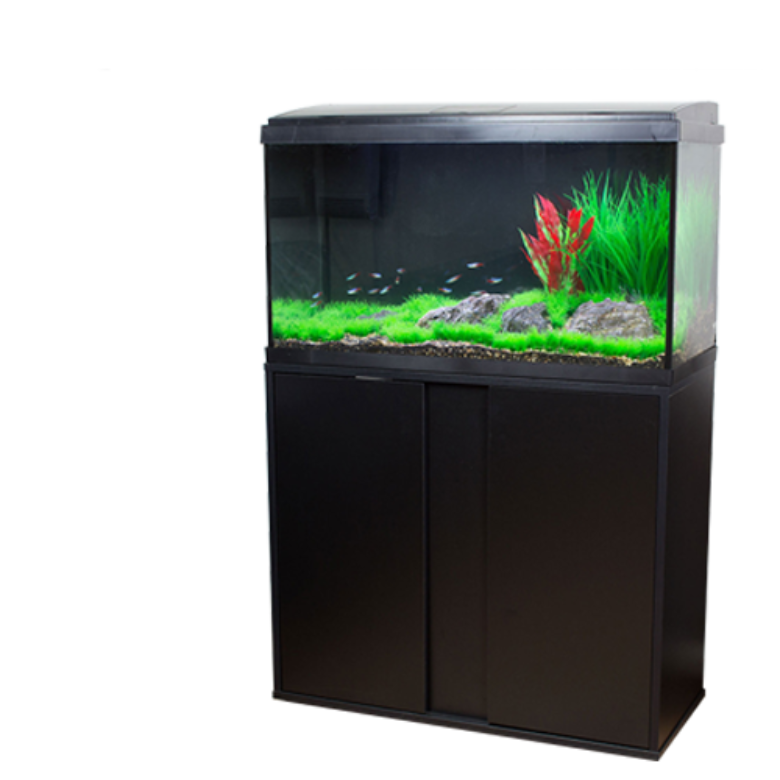 Maidenhead Aquatics - The UK's Leading Aquatics Retailer