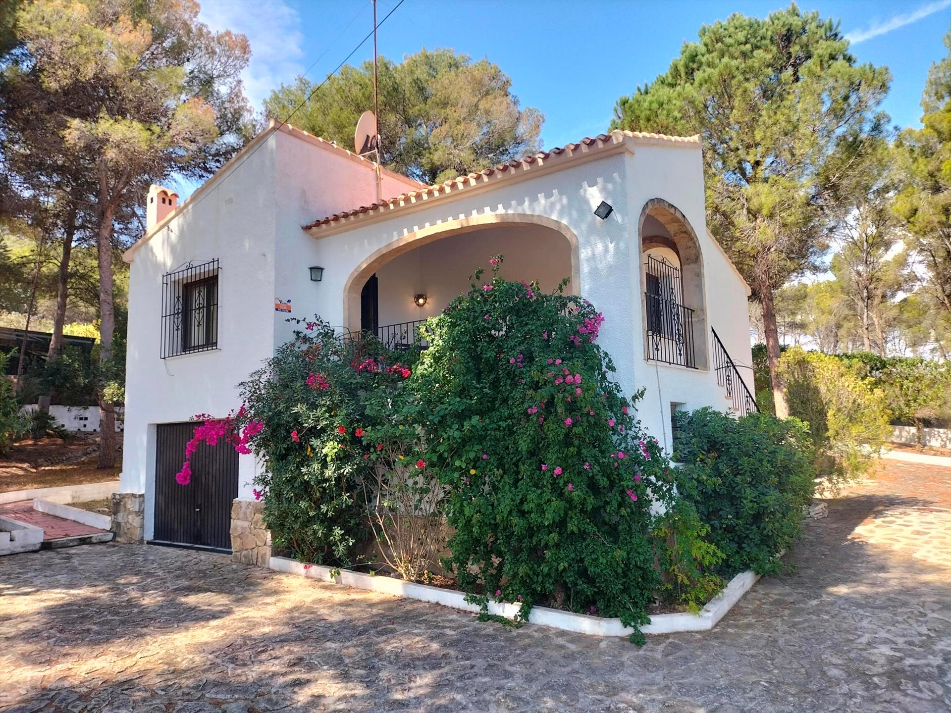 Poppy - Xàbia