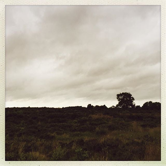 Rather blustery night on Dunwich Heath