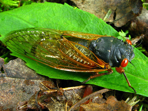 poradnik-wedkarski2 - Article