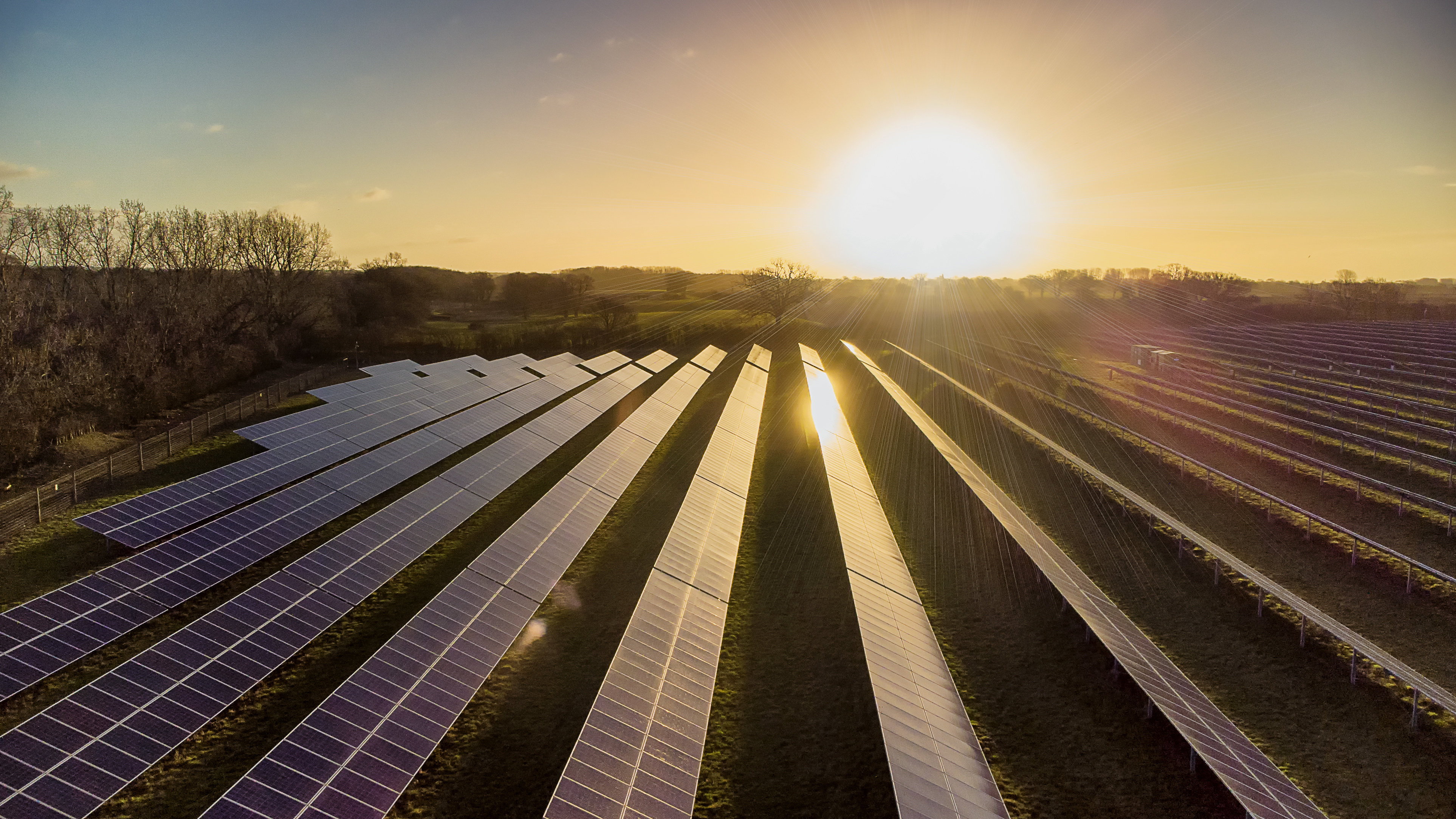 How ESG questionnaires are getting ready for the SDR regime - FTAdviser