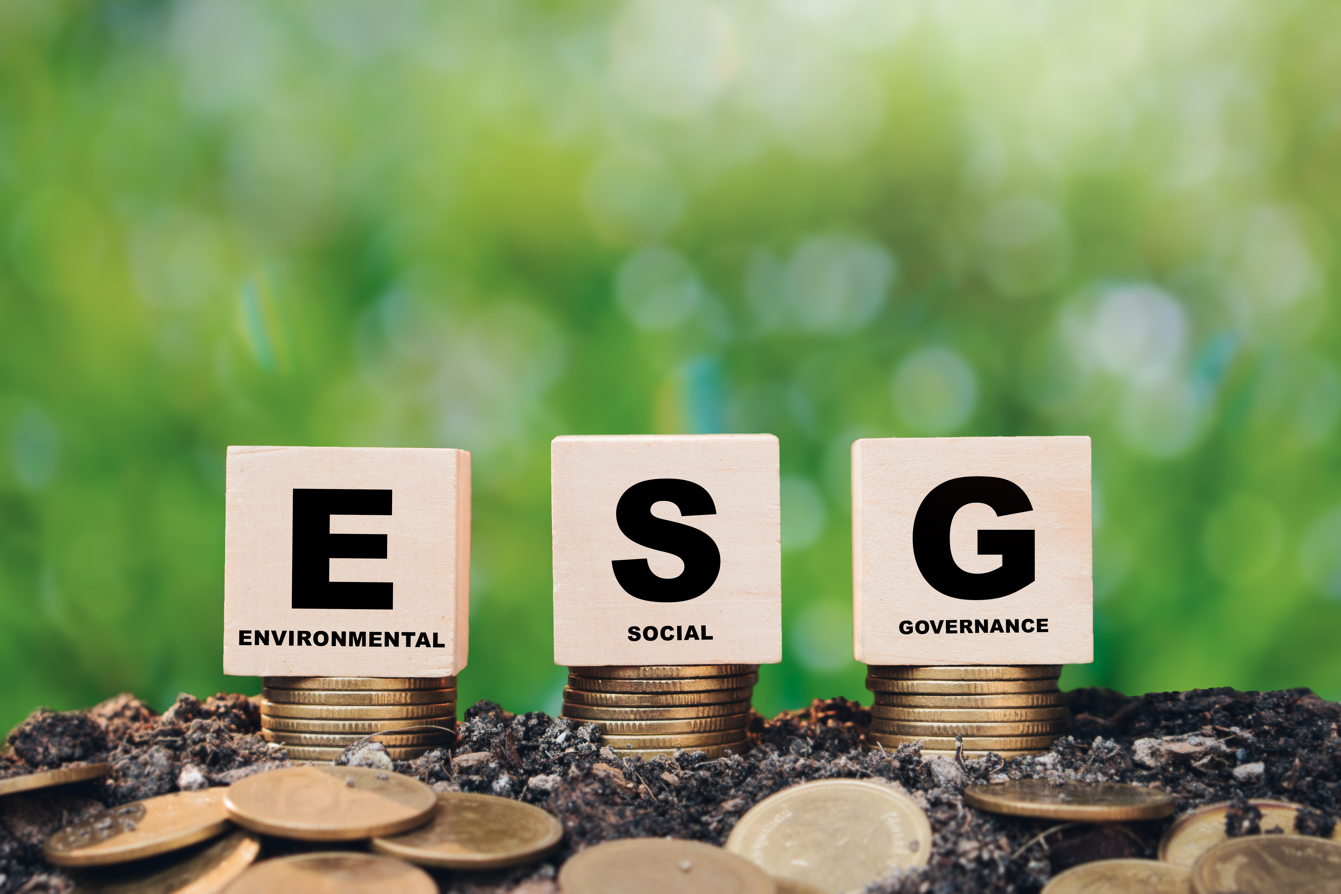 'ESG: how we spend our money is more useful than where we invest it' - FTAdviser
