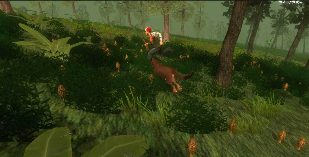 Untamed: Life Of A Cougar