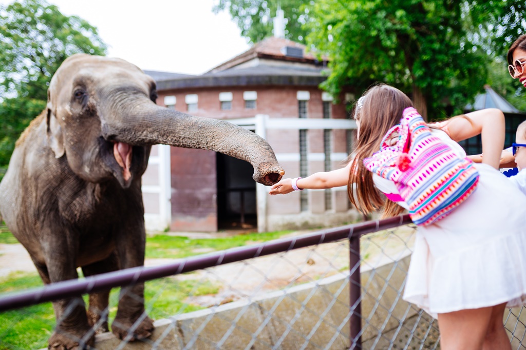 Best zoos in Europe, which cities not to miss