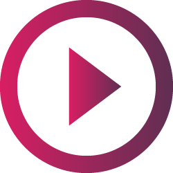 Los verbos en presente de indicativo