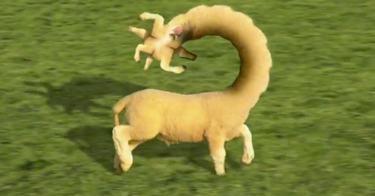 Interview: Cyriak Harris | Grafill