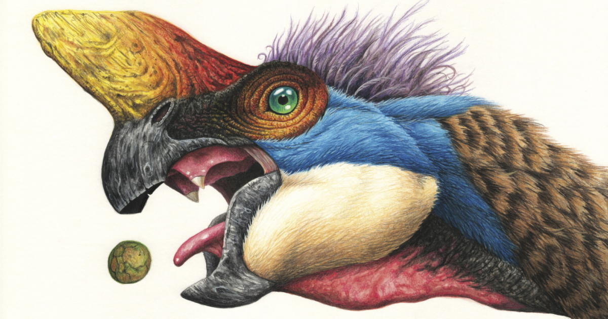 Grafill - Norsk organisasjon for visuell kommunikasjon | Grafill