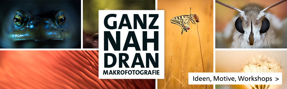 Rheinwerk – Der Verlag für IT, Design und Fotografie