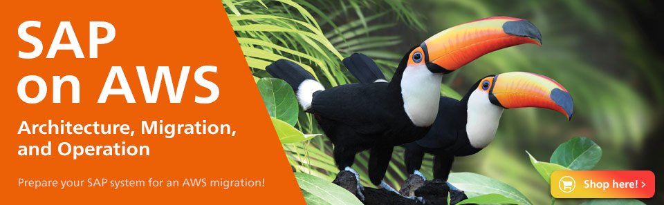 SAP PRESS | Official Site