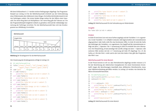 Der Python-Kurs für Ingenieure und Naturwissenschaftler | Rheinwerk
