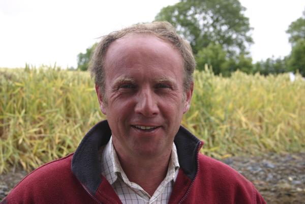 Online Special - The crisp taste test - Premium