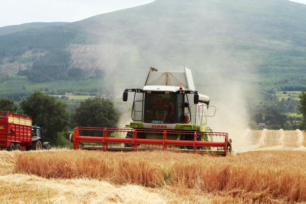 Early barley yields disappoint - Premium