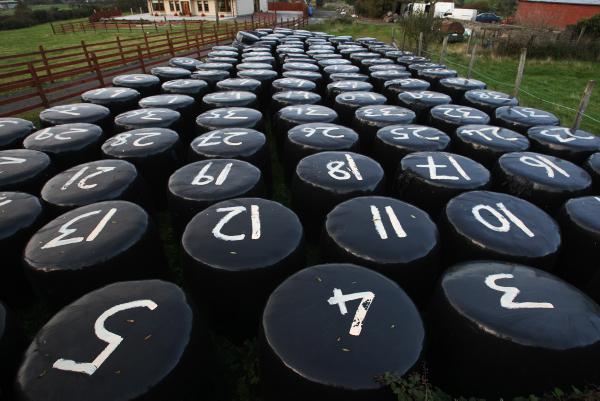 Poor Quality Silage causing problems - Premium