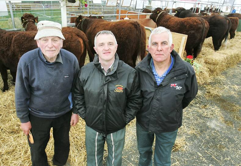 In pictures: RUAS Balmoral Show 2015 - Free
