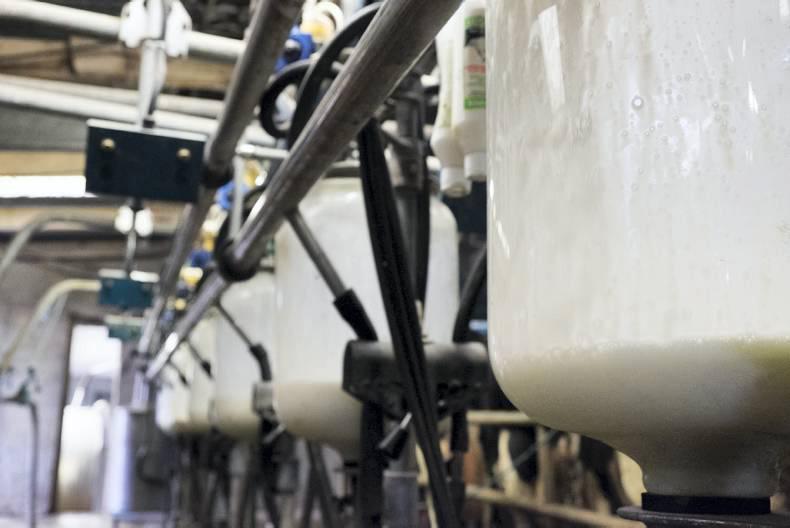 Town of Monaghan cuts May milk price - Free