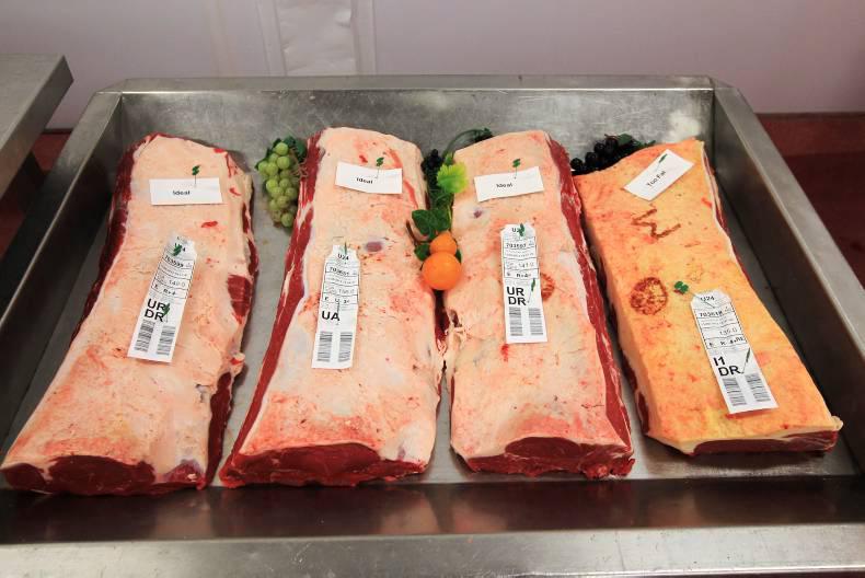 Food Wise 2025 and the Irish beef industry - Premium