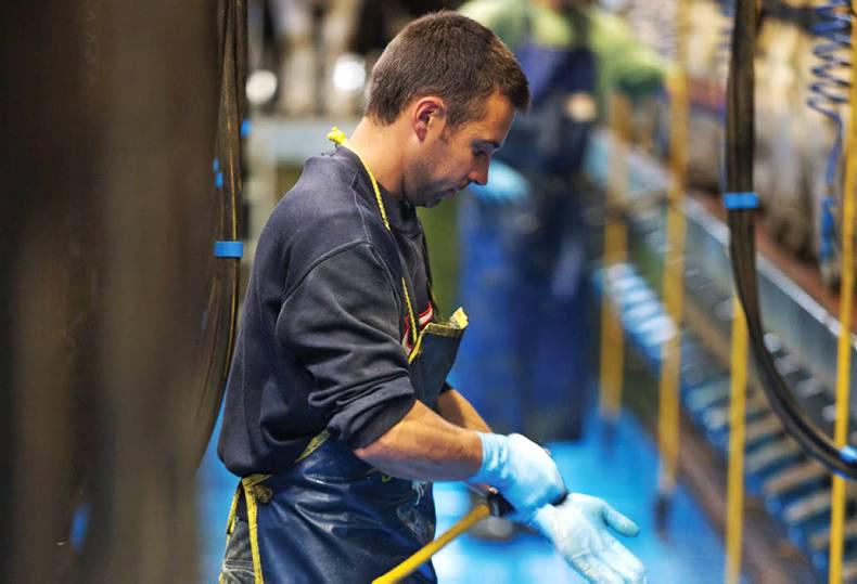 Dairy Know-How: Proper milking routine - Premium