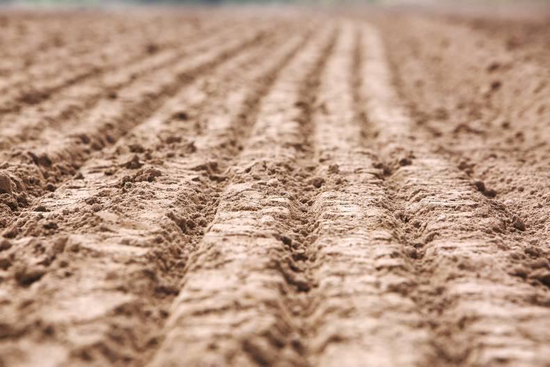 Rose Hynes new chair at Origin - Premium