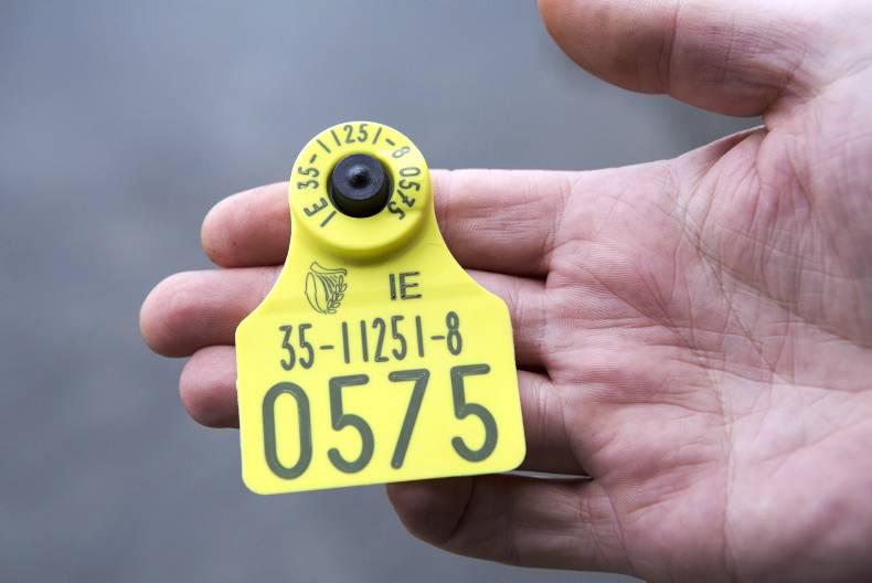 Revamp of cattle tags on the way - Premium