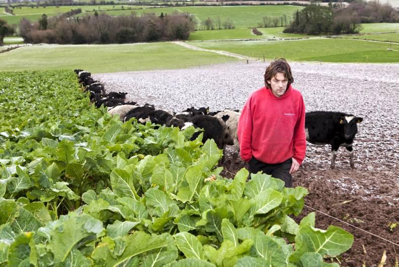 A good forecast but bad grazing conditions - Premium