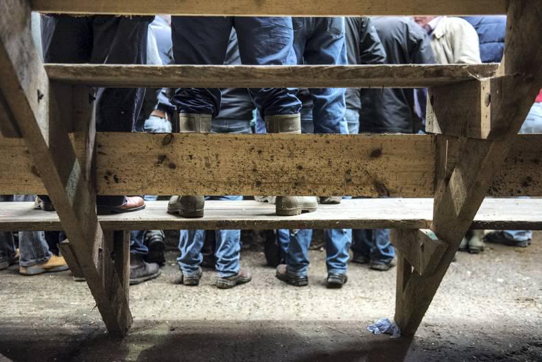 A night at the movies in Corrin Mart - Premium