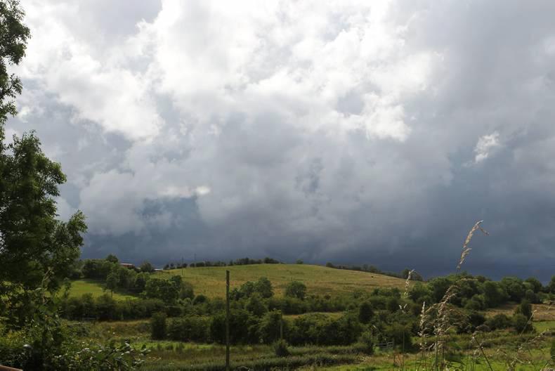 Weekly weather: humid and misty conditions all week - Free