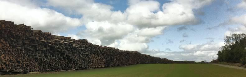 Coillte establishes biomass depot in Co Wexford - Premium