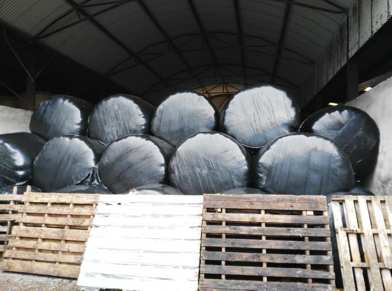 Watch: How to take silage samples - Premium