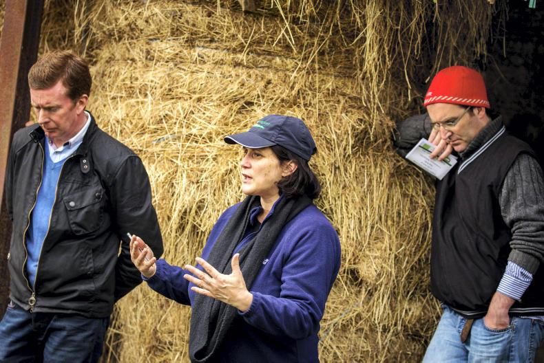 Rise in sales of organic food – Rabobank - Premium