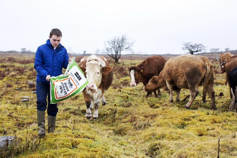 EPA highlights role of local environmental schemes in protecting ...