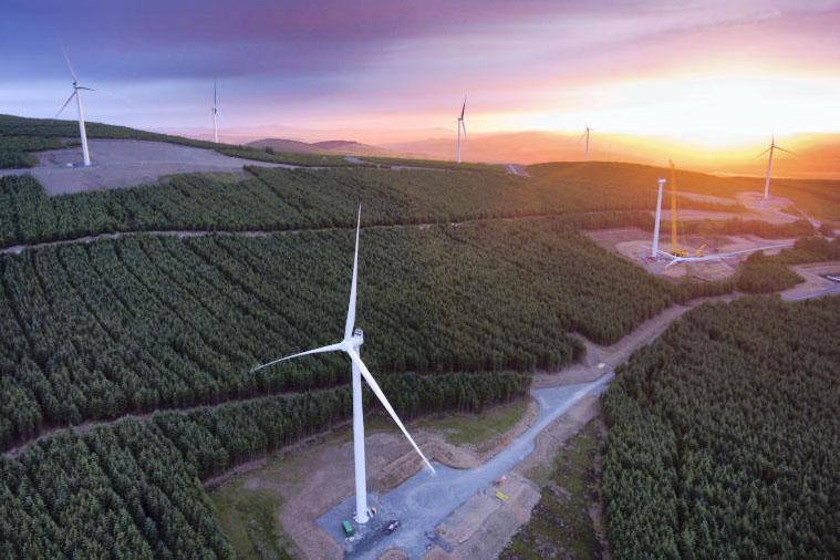 ESB and Coillte secure funding for Co Cork wind farm - Free