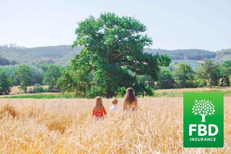 FBD insurance spends €2.5m on rebrand - Free