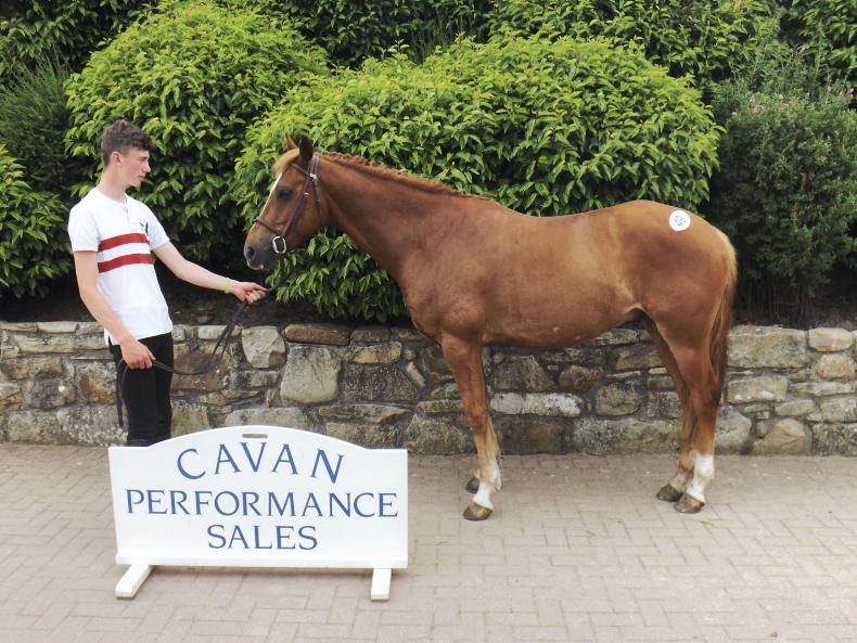 Jim Derwin pays €10,200 for top lot at Cavan - Premium