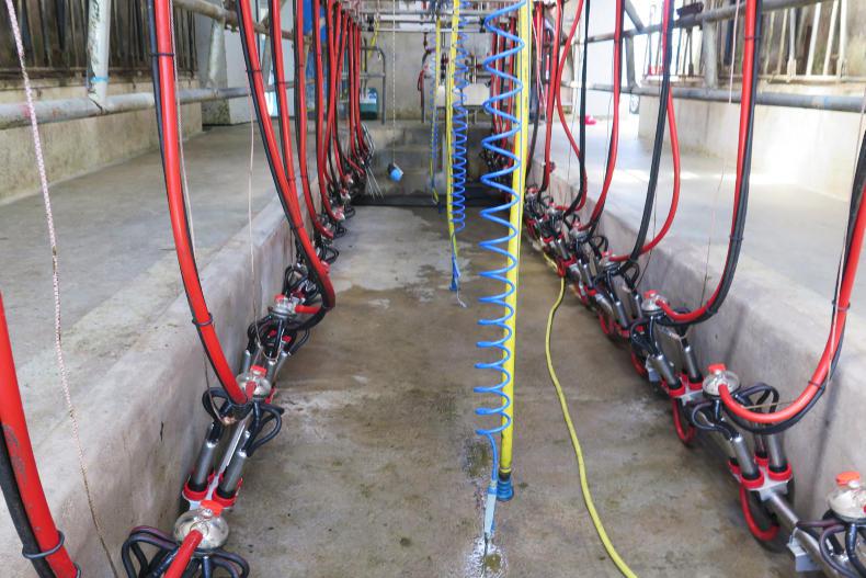 In pictures: breeding for the future at LIC farm walk - Premium