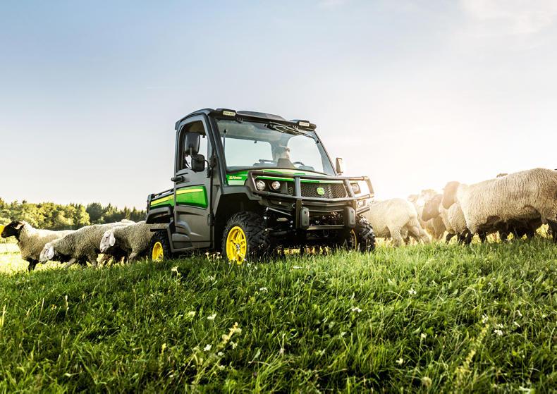 Snappy new Gators for 2018 - Premium