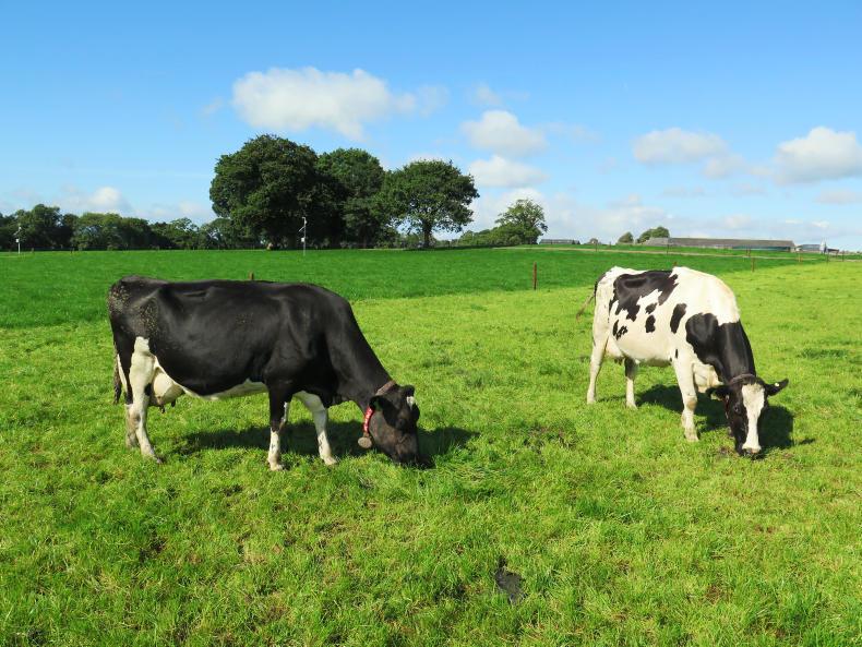 Dairy management notes: drying off cows - Premium