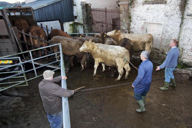 Identifying the risk of poor quality feed and bedding - Premium