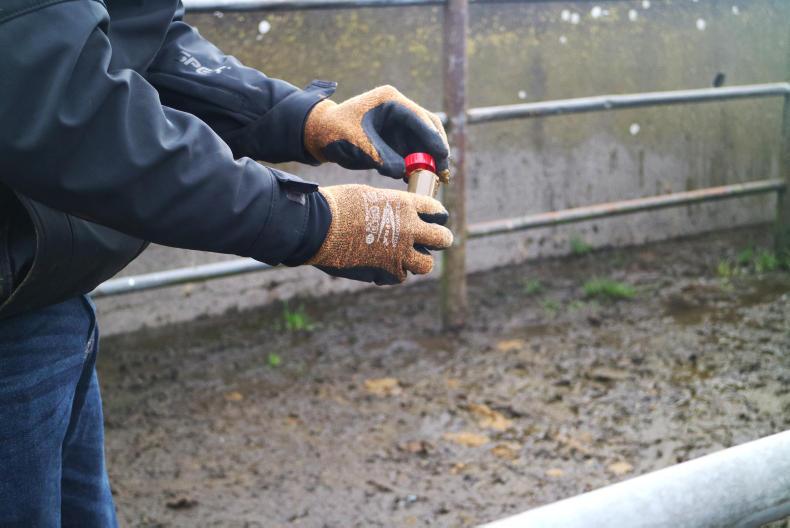 BETTER farm: acting on dung sample results - Premium