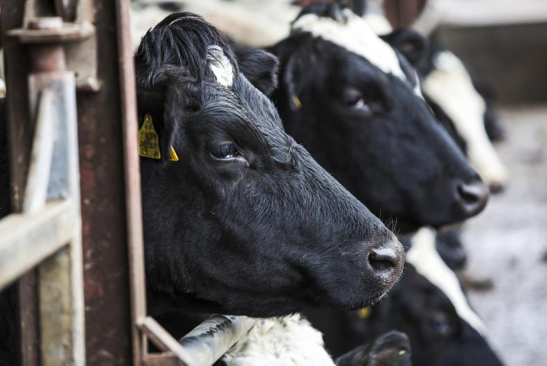 Agri jobs: dairy workers, calf rearers and agronomists - Free