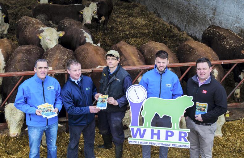 New active bull lists published - Premium