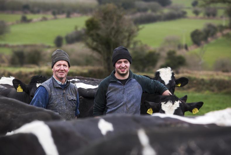 This week in photos: Tuam Mart, Raphoe Mart and Milford Mart - Free